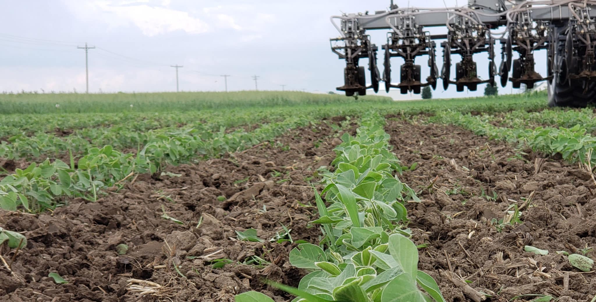 Hiniker Agricultural Equipment | Row Cultivators | Why We Need Row ...